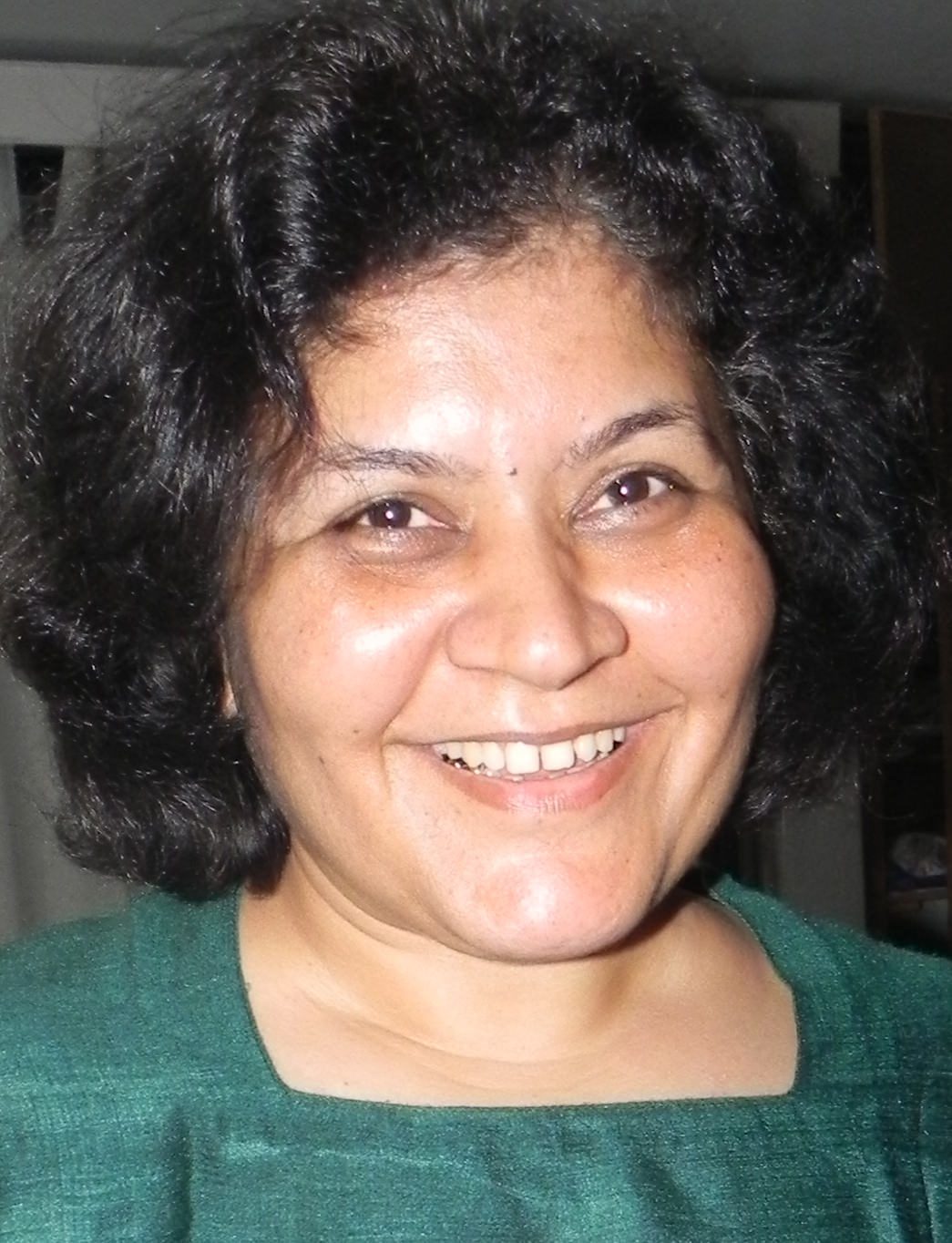 Alka Palrecha • The Lakshmi Mittal and Family South Asia Institute