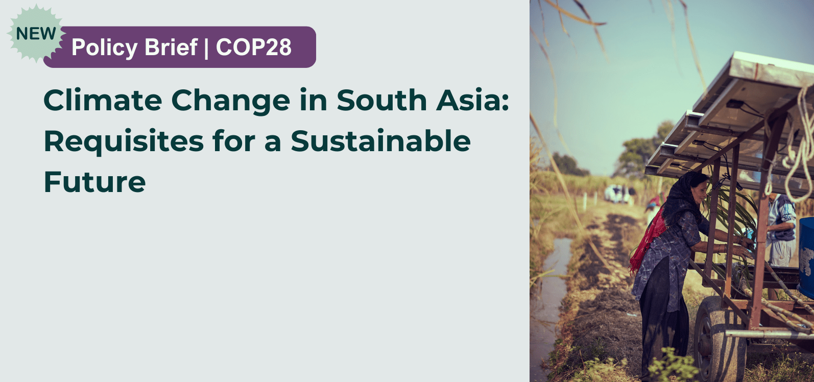 Policy Brief: Climate Change in South Asia: Requisites for a ...