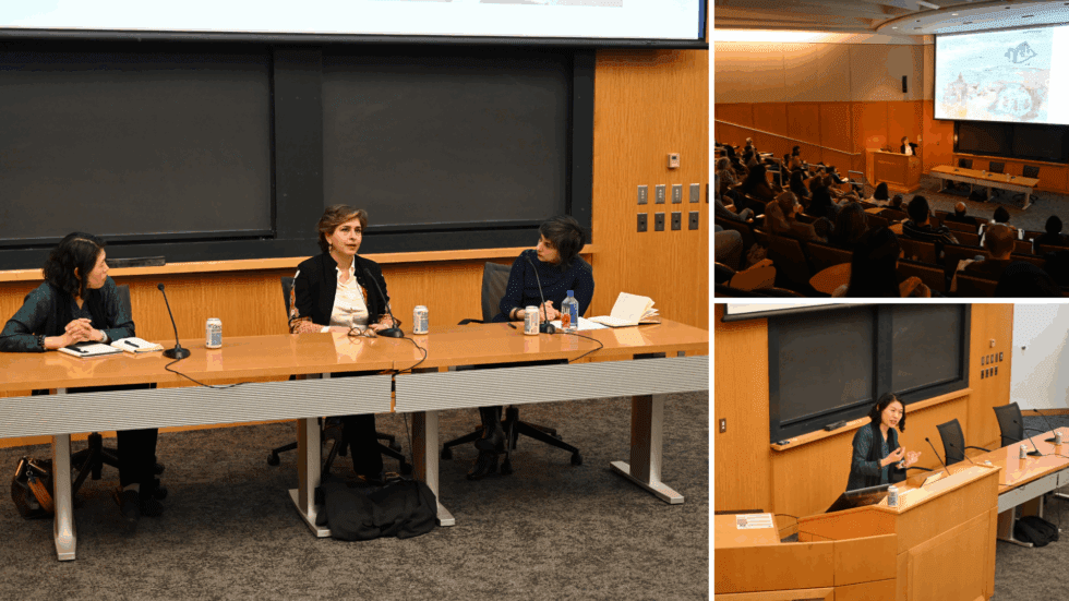 Land, Body, Memory: A Public Lecture by Distinguished Artist Fellow ...